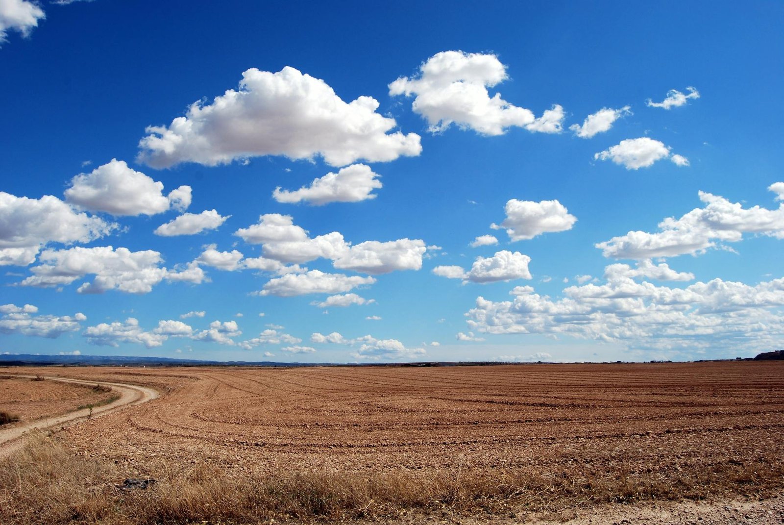 Indice di vivibilità climatica 2025 - L'Innovatore